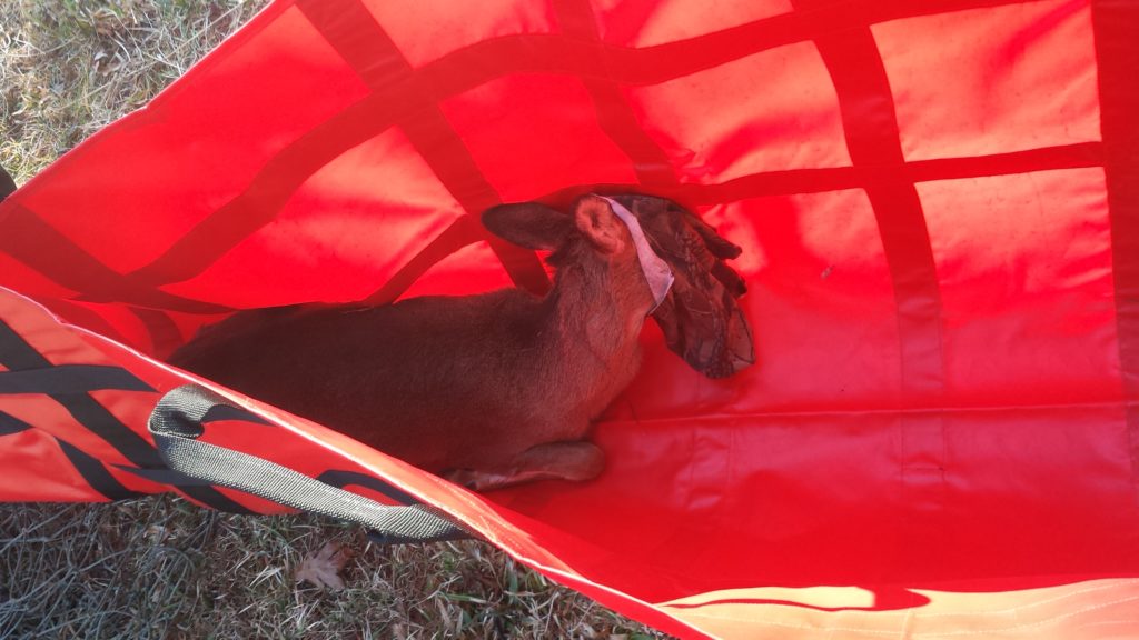 Heavy Lifting Tarp / Obese Patient Transport Tarp - Rescue Northwest