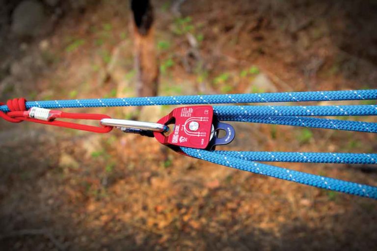 CMC Rescue Double Pulley - Rescue Northwest