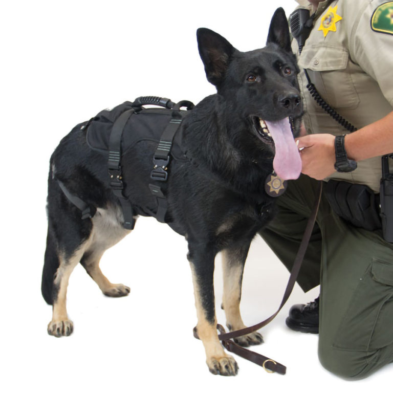 CMC K9 ProSeries Rappel Harness - Rescue Northwest