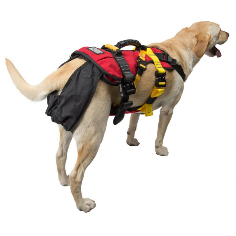 Shop Online For a K9 Search and Rescue Harness | Rescue Northwest